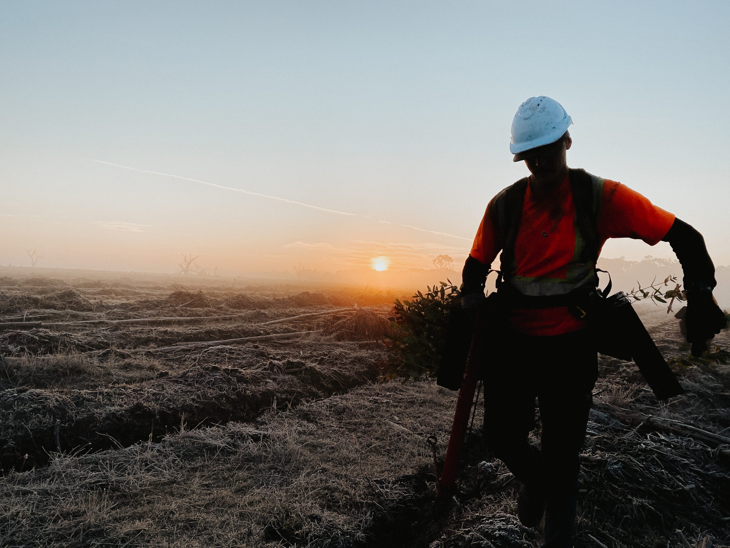 Pacific Reforestation - Planting trees across Australia